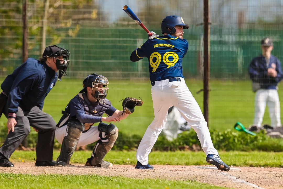 Match Reports : Arrows remain top of NBL table after split with Bruins ...